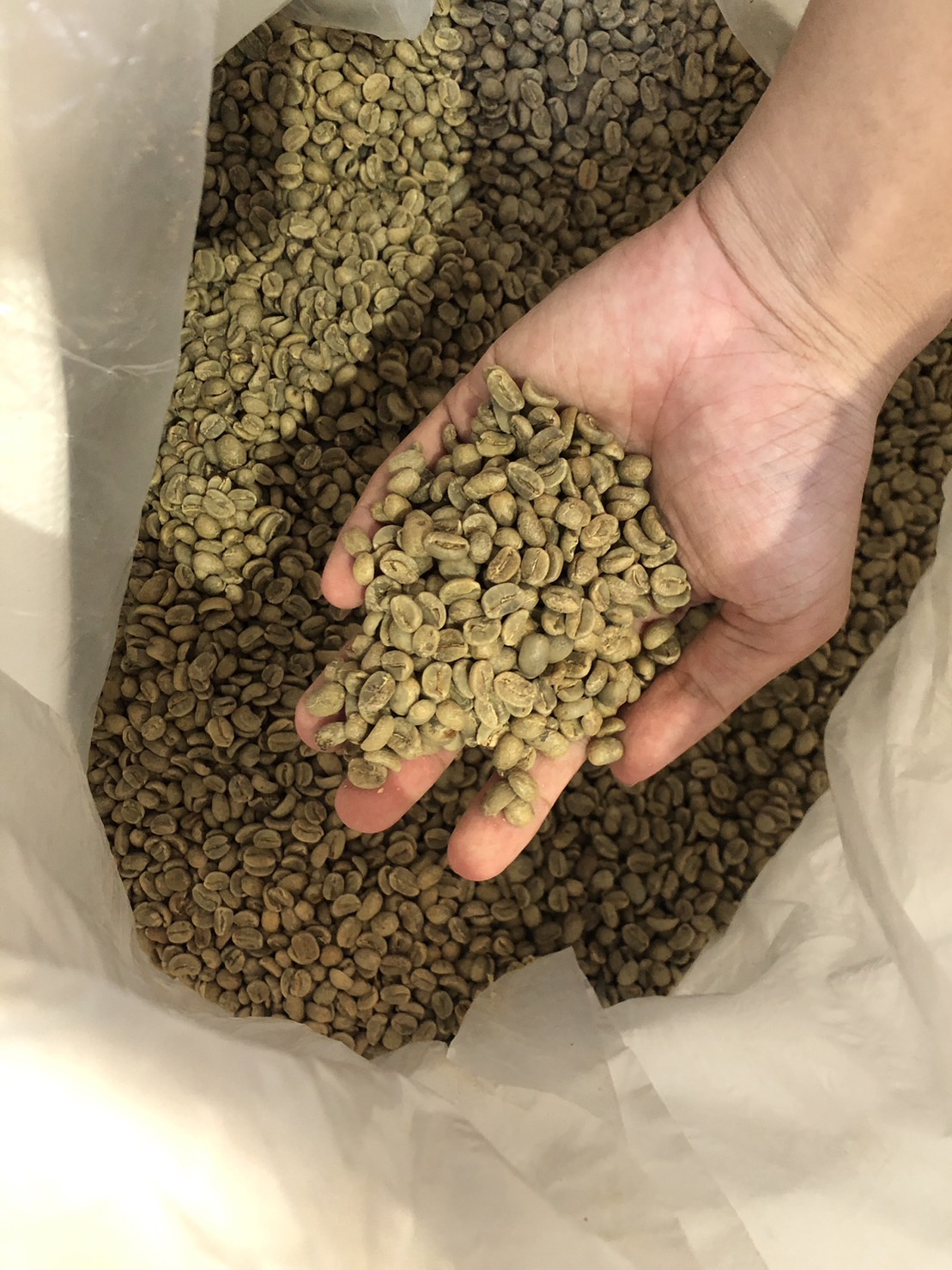 Pure Origin | Laos Bolaven Coffee Beans